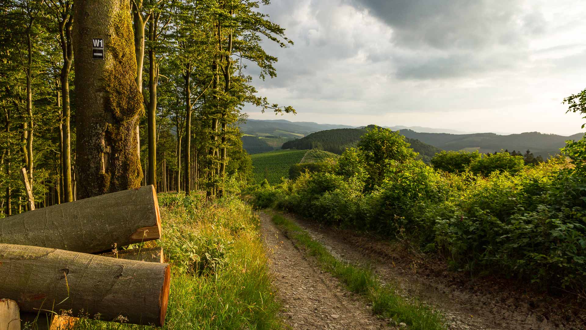 Verkehrsverein Westfeld-Ohlenbach e.V. – Tourist-Information des Ortes ...