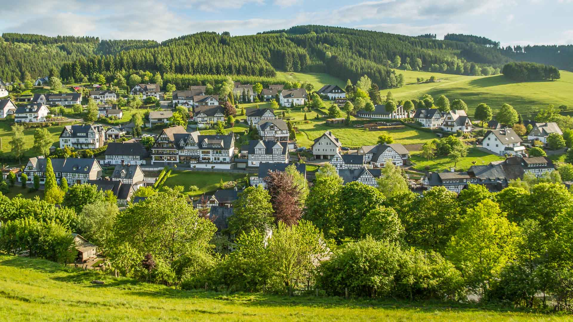 Blick von der Birkenallee auf Westfeld – Verkehrsverein Westfeld ...