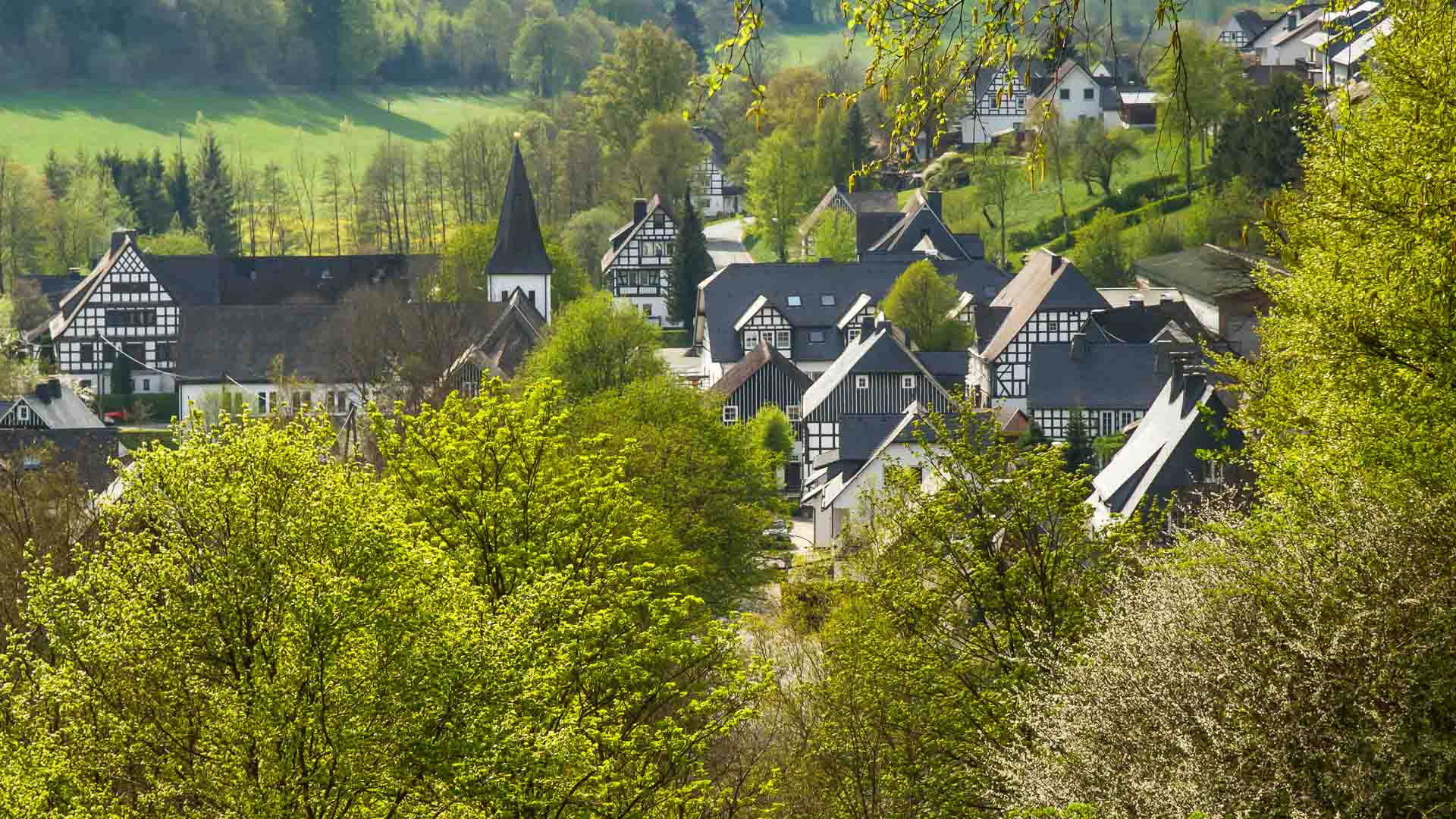 Blick von der Birkenallee auf Westfeld – Verkehrsverein Westfeld ...