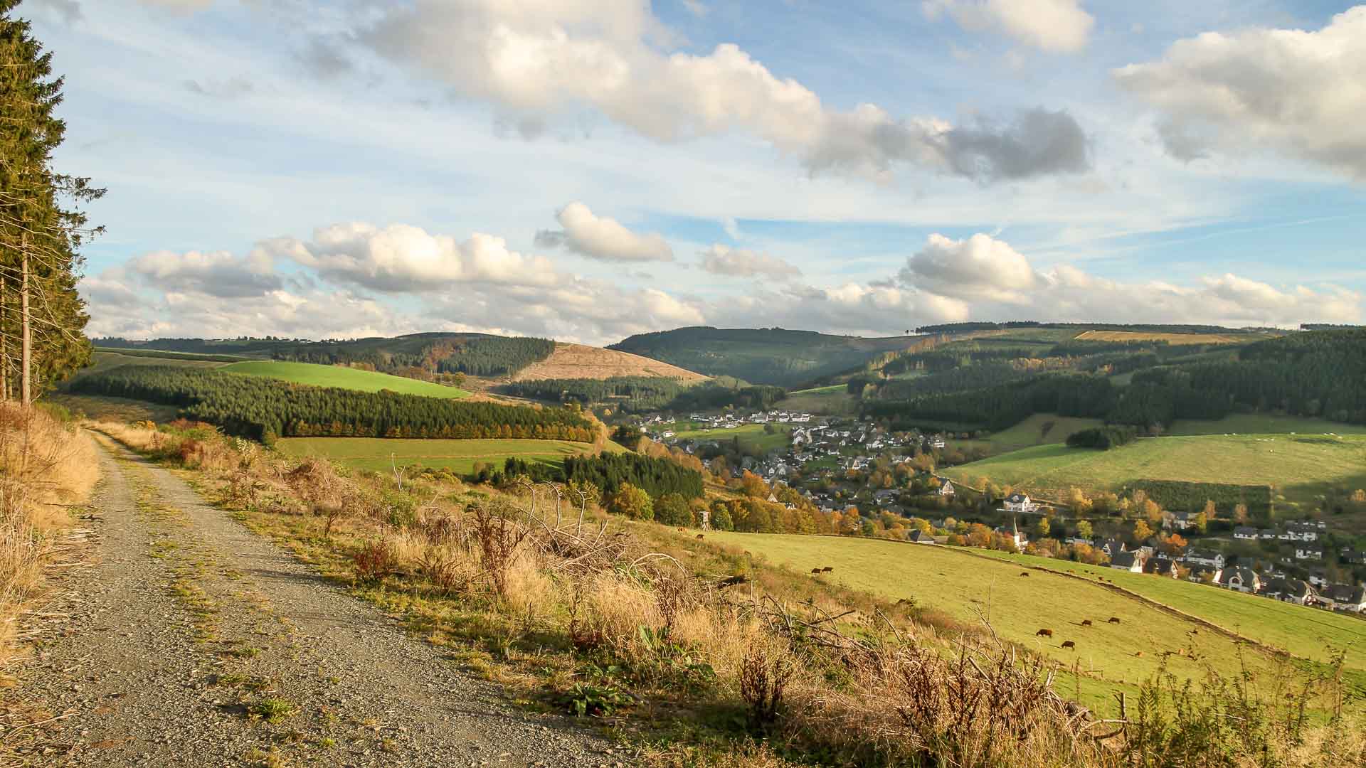 Westfeld im Herbst-05 – Verkehrsverein Westfeld-Ohlenbach e.V.